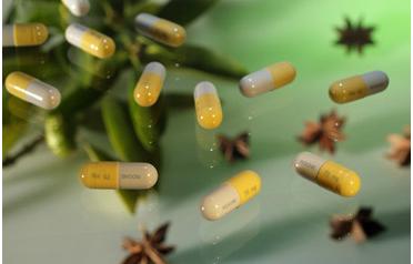 Treatment-resistant swine flu detected in US - Emirates 24|7