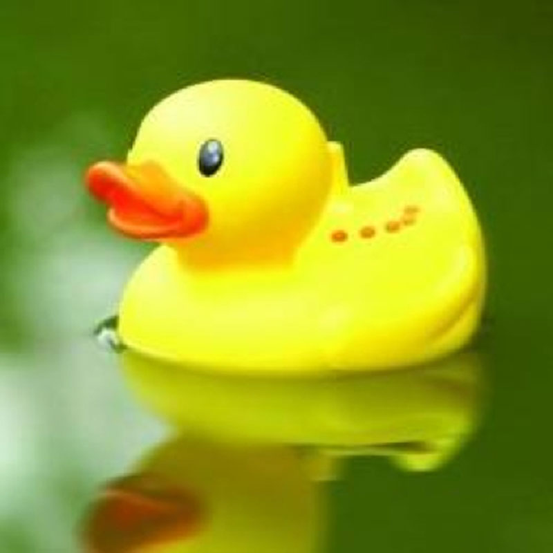 From lion to duck: Assad's nickname goes viral - Emirates 24|7