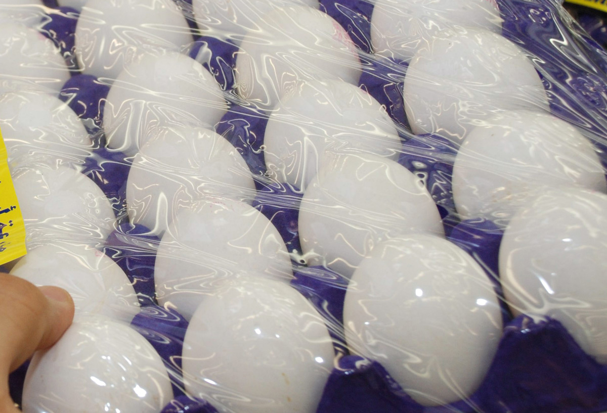 UAE bans live birds from Kuwait - Emirates 24|7